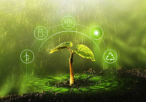 Sustainability Training Programs That Deliver Business Impact