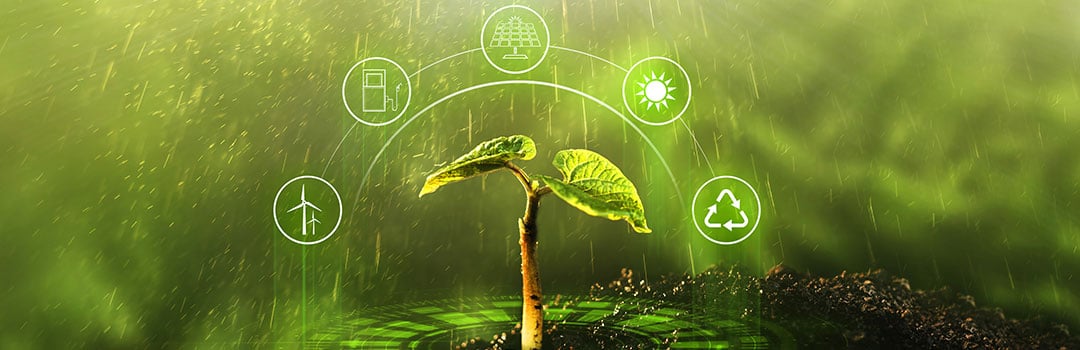 Interactive eLearning for Effective Sustainability Training